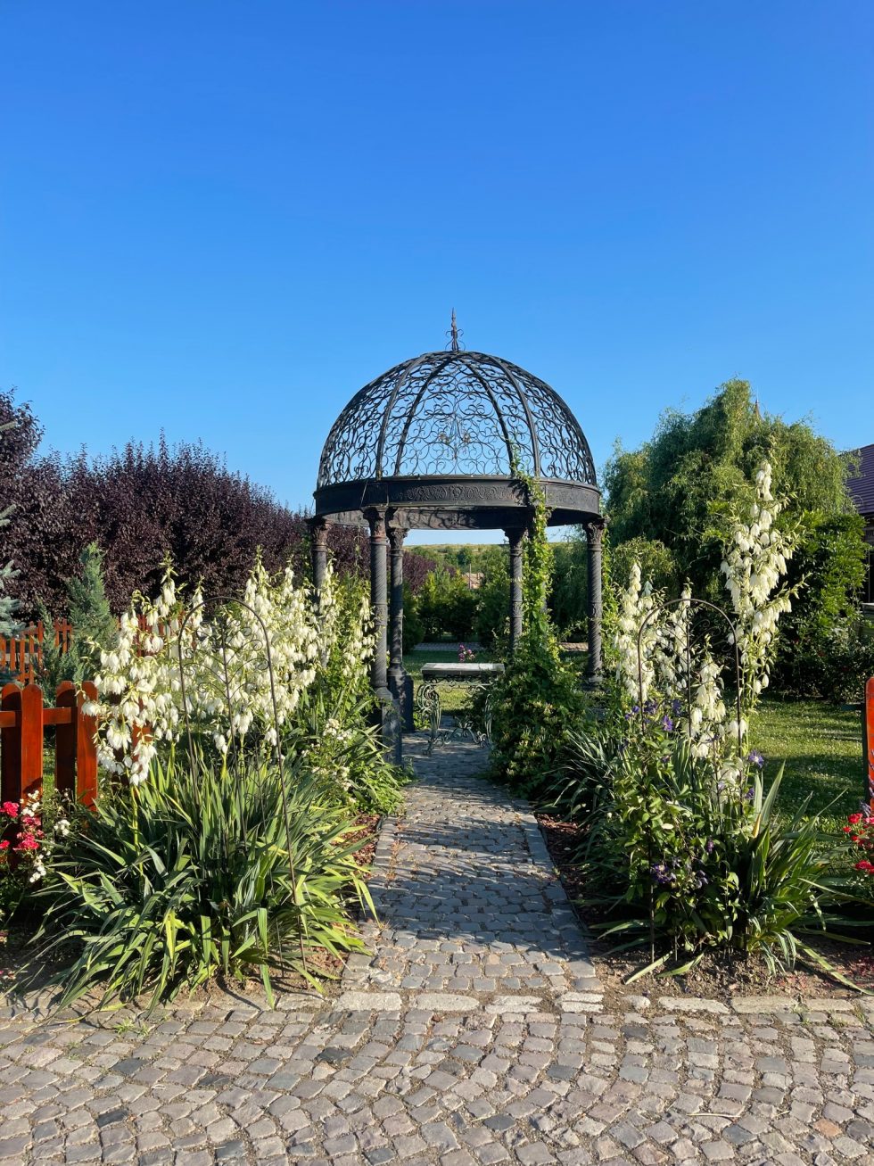 Calatorie: Castel Haller, Ogra Mures | Biscuit